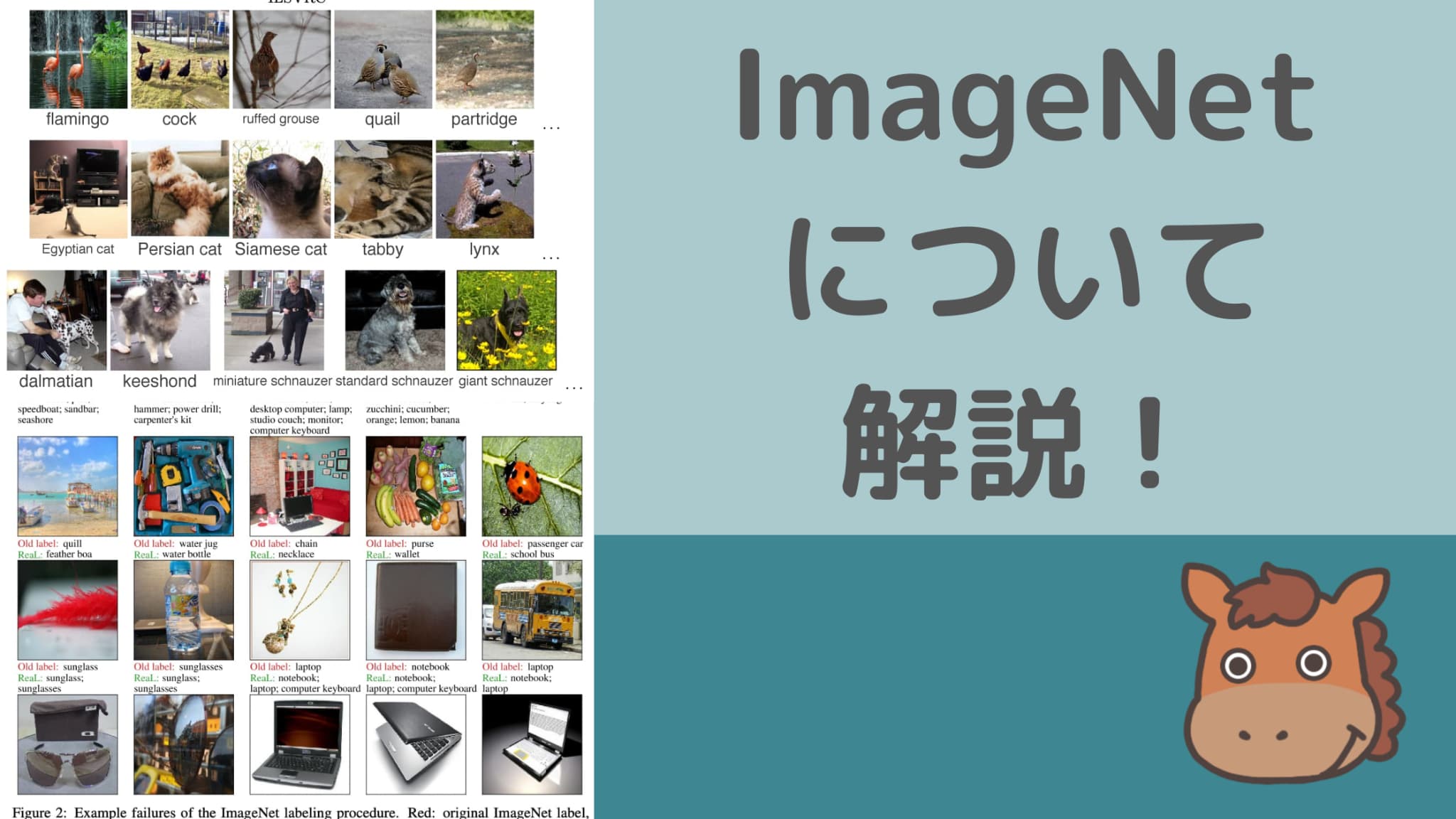 画像認識タスクに用いられるImageNetとは？使い方と課題を分かりやすく解説！｜スタビジ