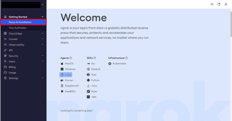 ngrokの使い方解説！Pythonで作ったアプリを外部公開してみよう！｜スタビジ