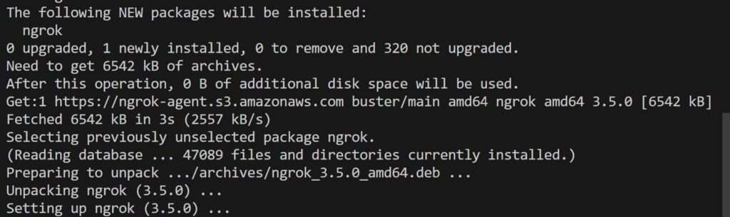 ngrokの使い方解説！Pythonで作ったアプリを外部公開してみよう！｜スタビジ