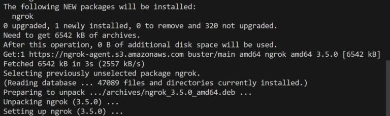 ngrokの使い方解説！Pythonで作ったアプリを外部公開してみよう！｜スタビジ